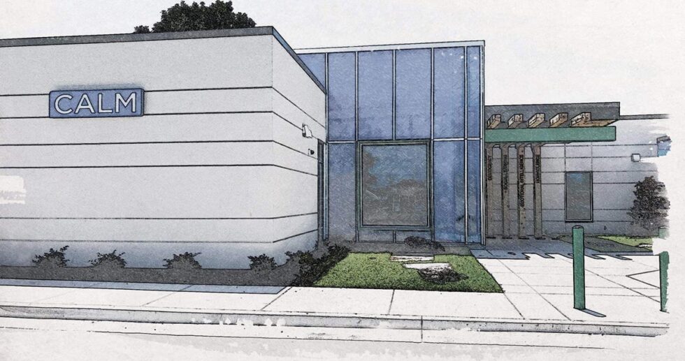 CALM Center - Counseling and Recovery Services